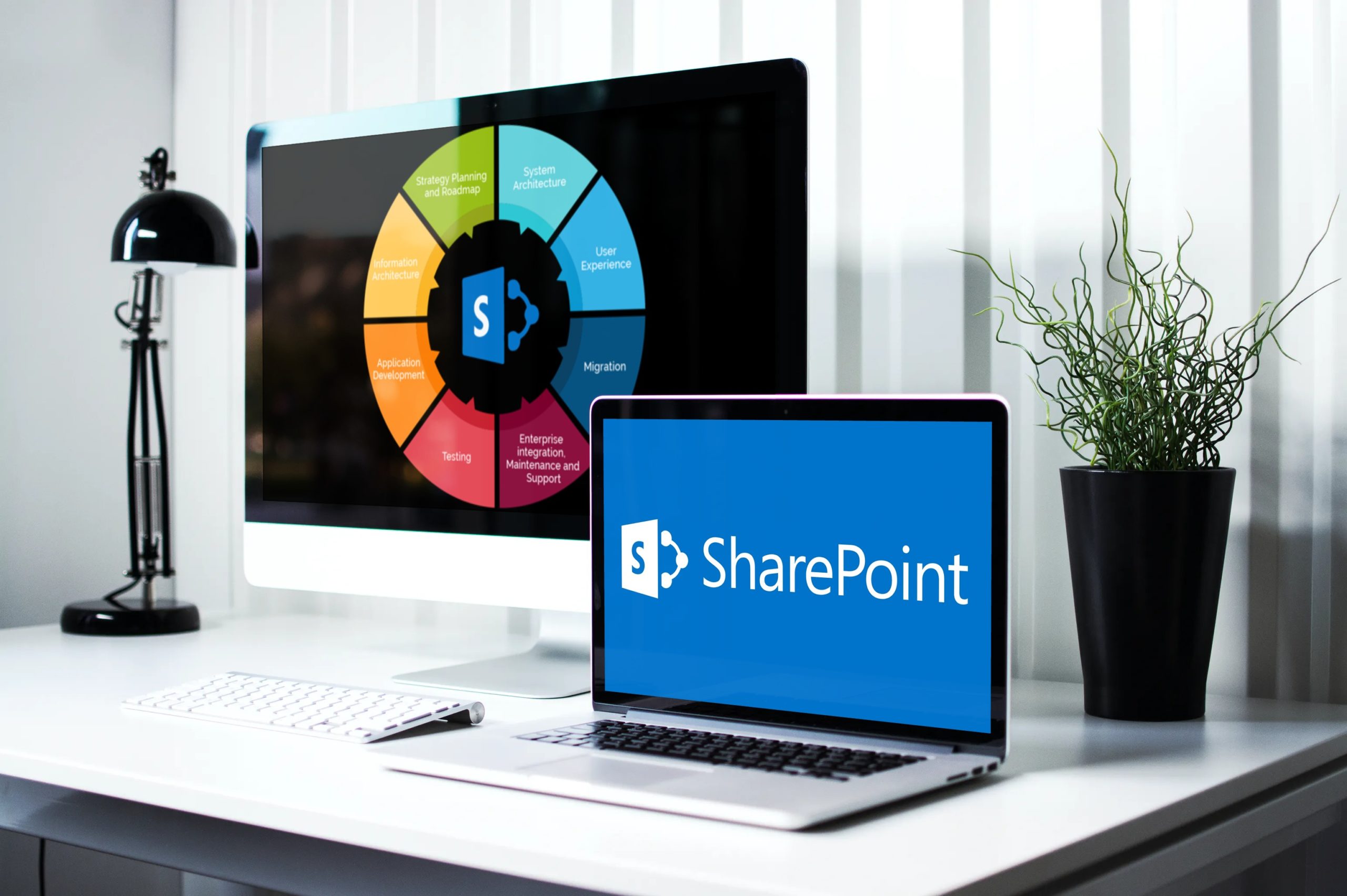 SharePoint Basics You Need To Know - Qlic IT